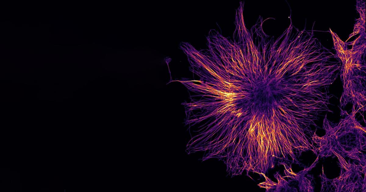 FISBA READYBeam™ compact and fully integrated laser combiner | fisba.com